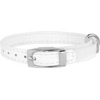 COLLARDIRECT Leather Cat Collar with Bell, Mint Green, Medium: 9 to 11 ...