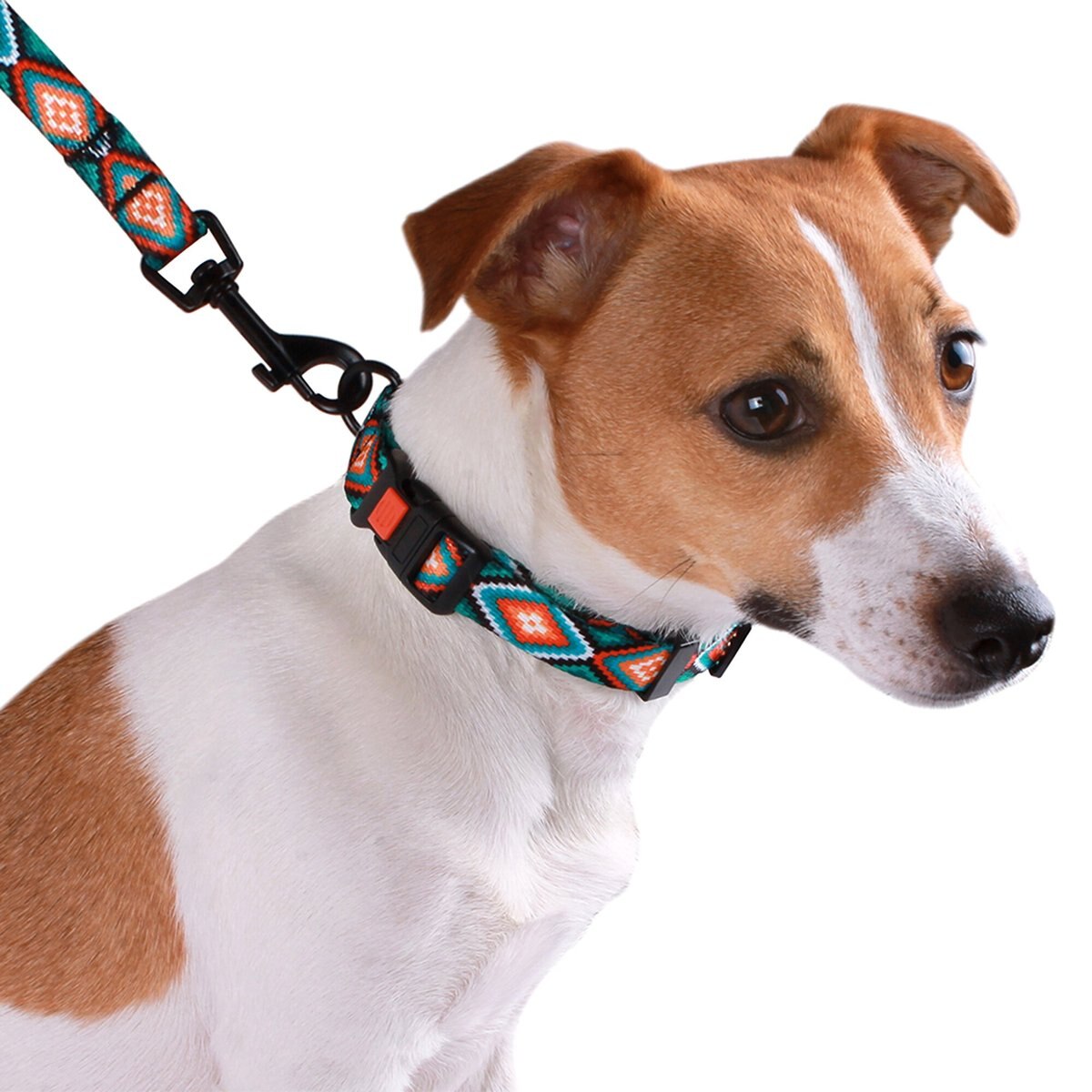 COLLARDIRECT Tribal Aztec Nylon Dog Collar, Pattern 3, Small: 10 to 13 ...