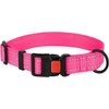 Pink Dog Collars (Free Shipping) | Chewy