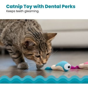 10 Best Cat Dental Toys 2025: According to Reviews | Chewy