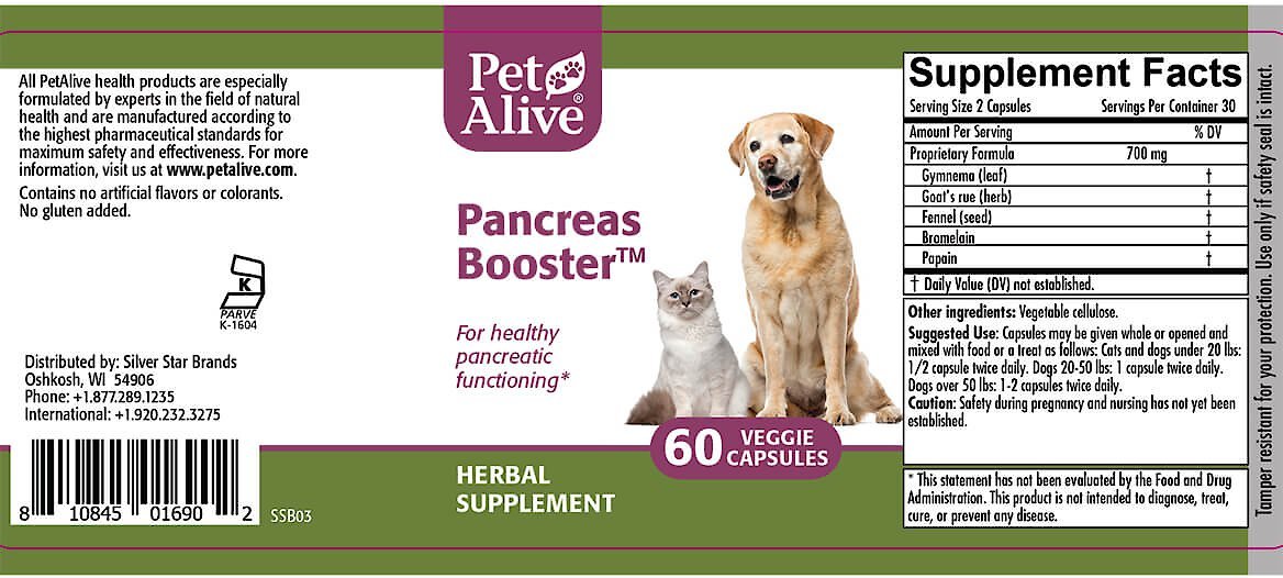 PETALIVE Pancreas Booster Dog & Cat Supplement, 60 count - Chewy.com