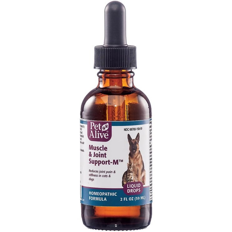 Arthritis Medicine For Dogs (Free Shipping) | Chewy