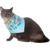 Pet Birthday Gifts For Dogs & Cats - Free Shipping | Chewy