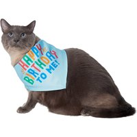 Pet Birthday Gifts For Dogs & Cats - Free Shipping | Chewy