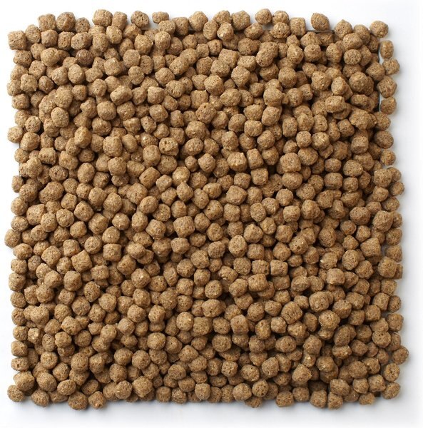 MAZURI Koi Platinum Nuggets for Fish 6-12 Inches Food, 3.5-lb bag ...