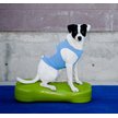 FITPAWS K9FITbone Dog Training Regular Balancing Bone, Green - Chewy.com