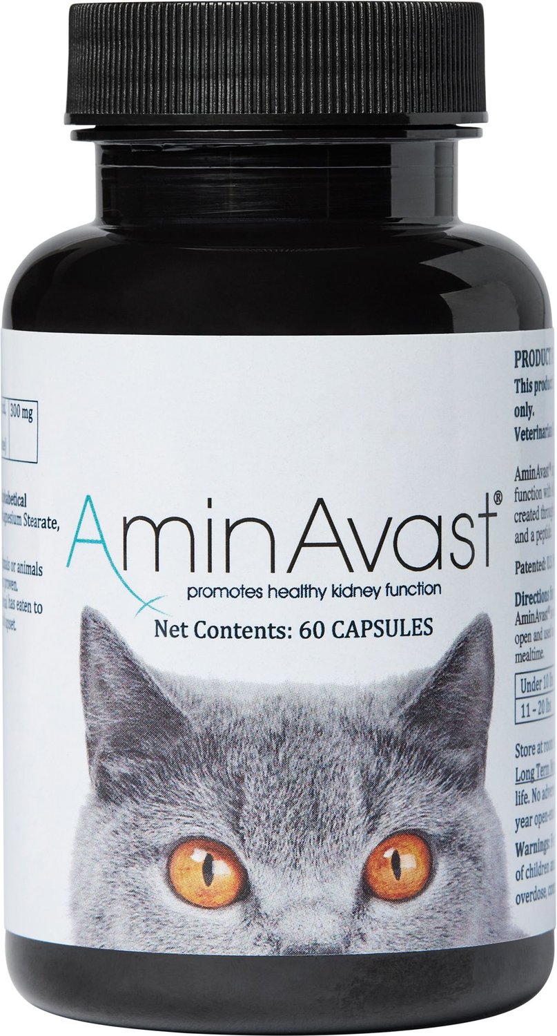 AMINAVAST Kidney Support Cat Supplement, 60 count - Chewy.com