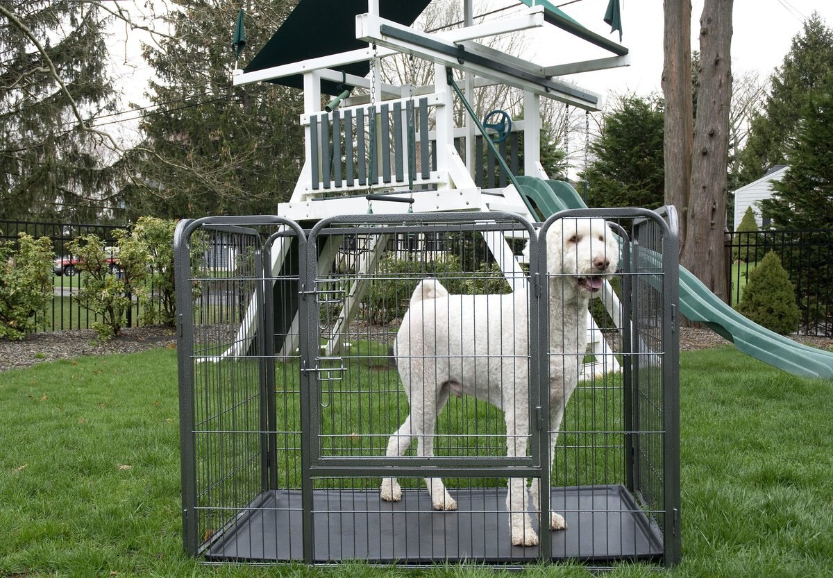 ICONIC PET Heavy Duty Rectangular Wire Dog Playpen, 36-in - Chewy.com