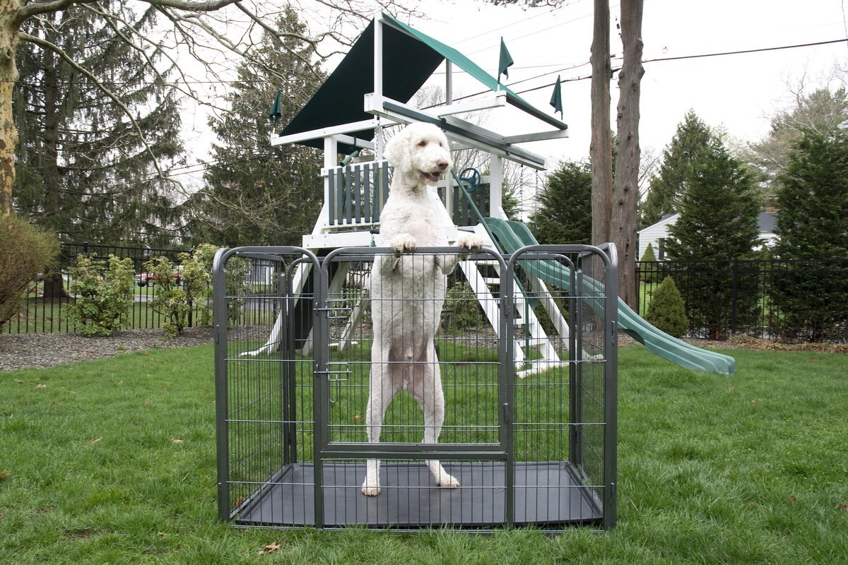 ICONIC PET Heavy Duty Rectangular Wire Dog Playpen, 36-in - Chewy.com