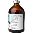 VITAMIN B12 (Generic) Injectable Solution, 1000-mcg/mL, 100-mL vial ...
