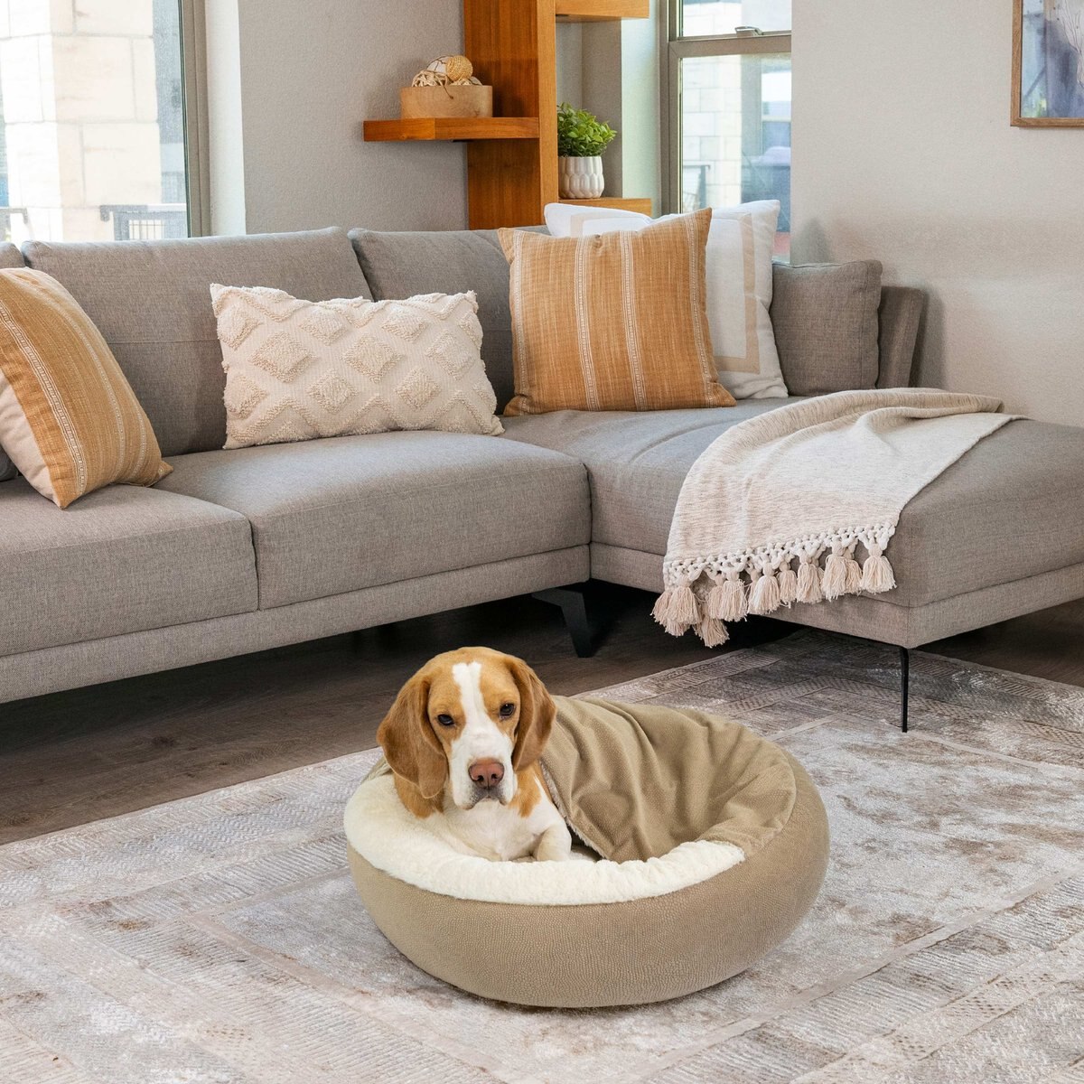 BEST FRIENDS BY SHERI Cozy Cuddler Covered Cat & Dog Bed, Wheat, Jumbo ...