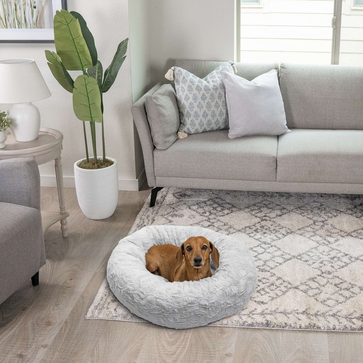 Folding Dog Beds (Free Shipping) | Chewy