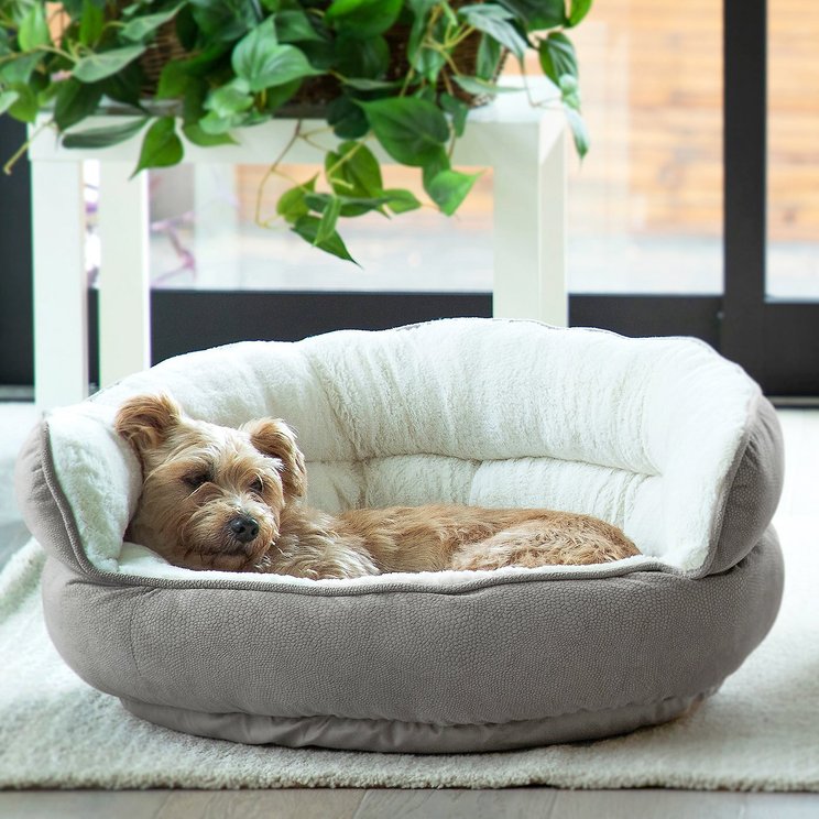 ROUND DOG BEDS (Free Shipping) | Chewy