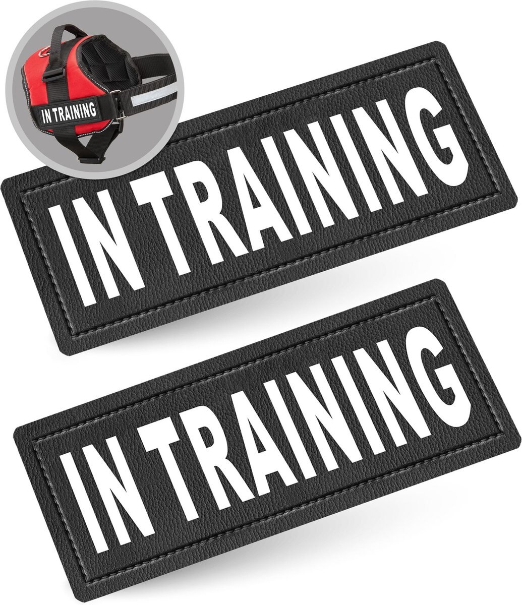 INDUSTRIAL PUPPY Dog In Training Patches, 2 count, Small - Chewy.com