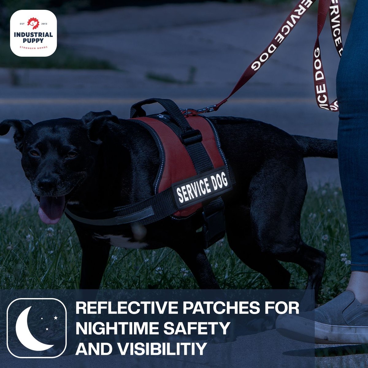 INDUSTRIAL PUPPY Service Dog Patches for Service Dog Vest, 2 count ...