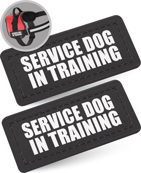 INDUSTRIAL PUPPY Service Dog In Training Patches, XX-Small, 2 count ...
