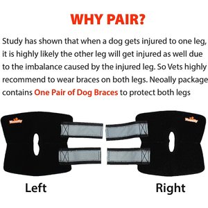 10 Best Braces & Splints for Dogs 2024: According to Reviews | Chewy