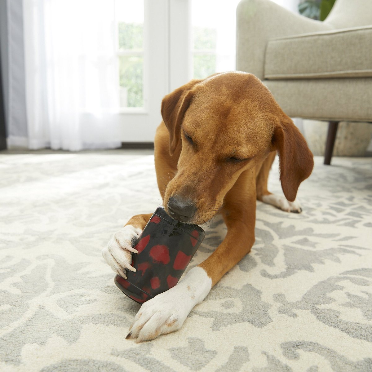 GOUGHNUTS K9 Kup Dog Toy, 5-in, Red/Black - Chewy.com