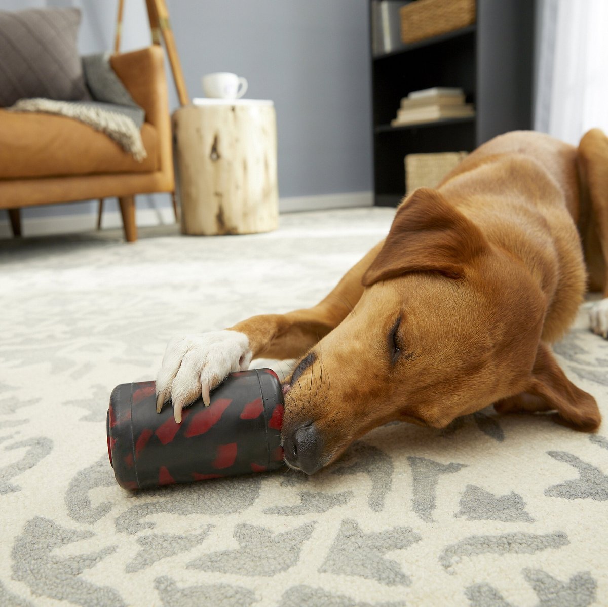 GOUGHNUTS K9 Kup Dog Toy, 5-in, Red/Black - Chewy.com