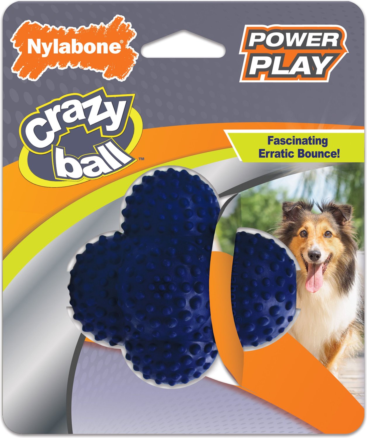NYLABONE Power Play Crazy Ball Dog Toy - Chewy.com