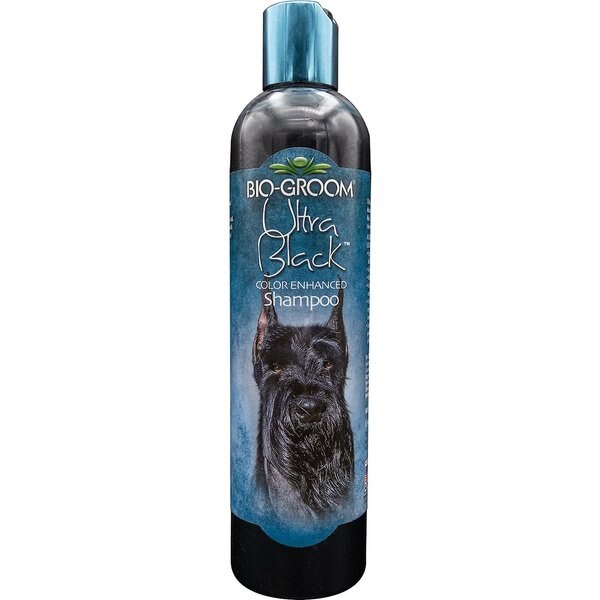 BIO-GROOM Groom 'N Fresh Odor Eliminating Dog Shampoo, 12-fl oz bottle ...