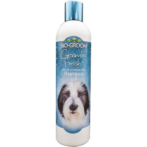 BIO-GROOM Groom 'N Fresh Odor Eliminating Dog Shampoo, 12-fl oz bottle ...