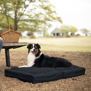SNOOZER PET PRODUCTS Travel Mate Outdoor Dog & Cat Bed, Large - Chewy.com