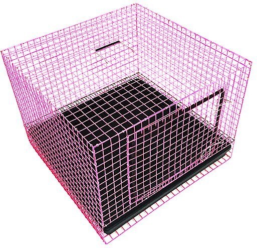 MARTIN'S CAGES Economy Rabbit Cage, Pink, Medium - Chewy.com