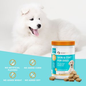 10 Best Skin & Coat Supplements for Dogs 2024: According to Reviews | Chewy
