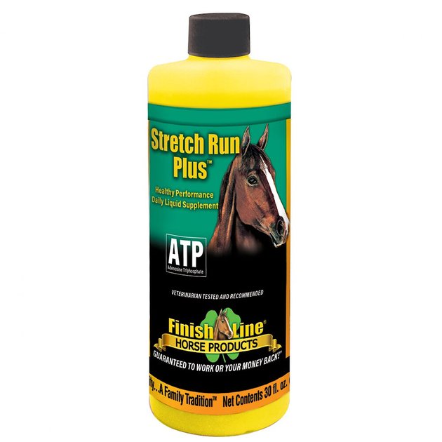 FINISH LINE Stretch Run Plus Endurance & Recovery Liquid Horse ...