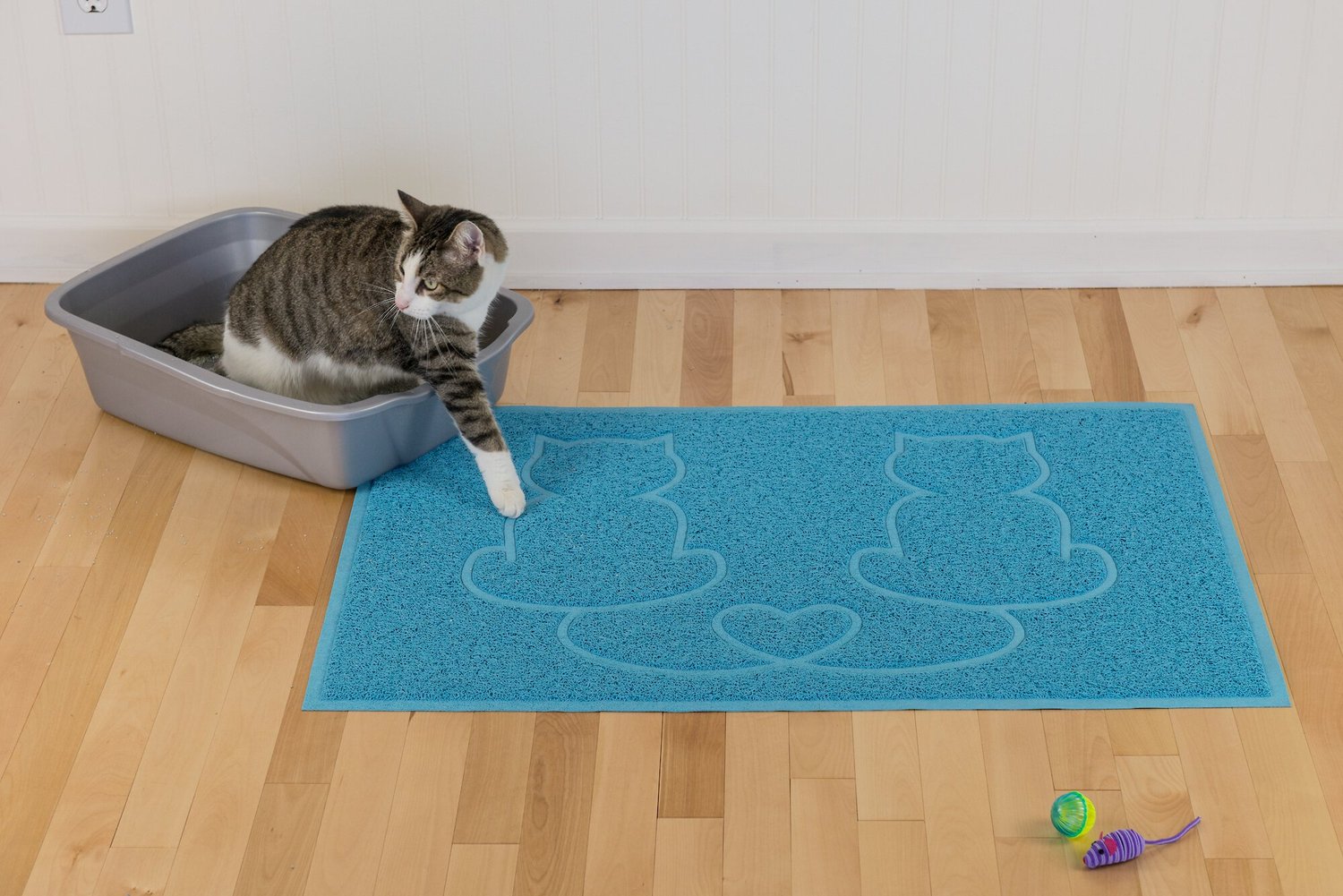 FURHAVEN Tiger Tough Tidy Paws Pet Food & Litter Mat, Robin's Egg ...