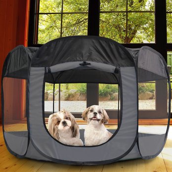 Cat Pens: Indoor, Outdoor & More, Low Prices (Free Shipping) | Chewy