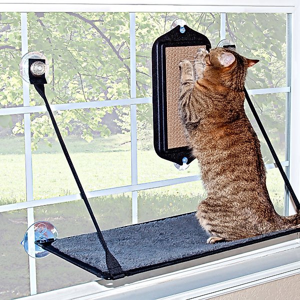 OMEGA PAW Multi-Purpose Cat Scratching Post - Chewy.com