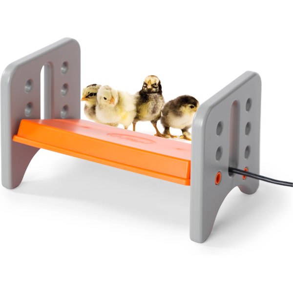 BRINSEA EcoGlow Safety 600 Chick & Duckling Brooder - Chewy.com