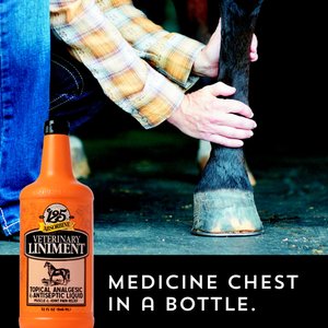 10 Best Horse Liniments & Poultices 2025: According to Reviews | Chewy