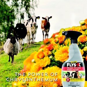 10 Best Fly Sprays & Repellents for Cows 2025: According to Reviews | Chewy