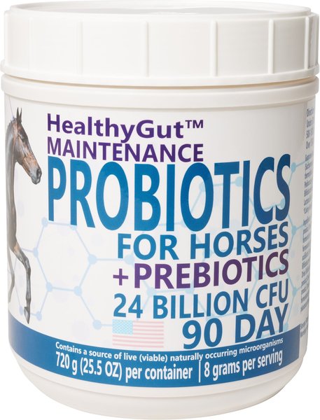 EQUA HOLISTICS HealthyGut Maintenance Probiotics Powder Horse ...