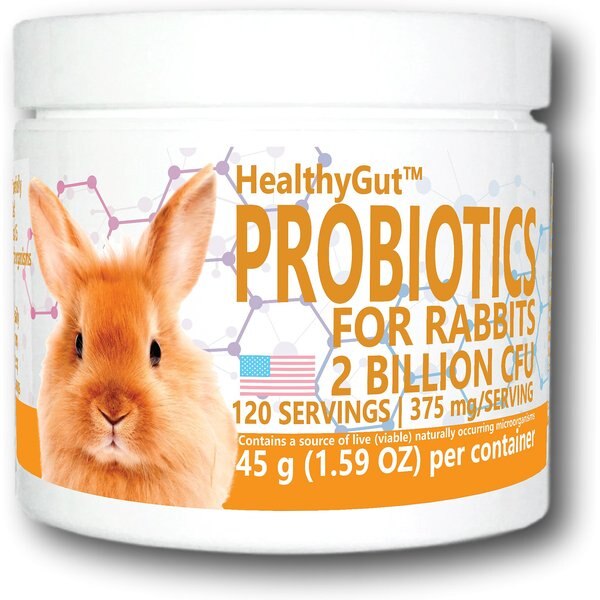 EQUA HOLISTICS HealthyGut Probiotics Rabbit Supplement, 1.59-oz tub ...