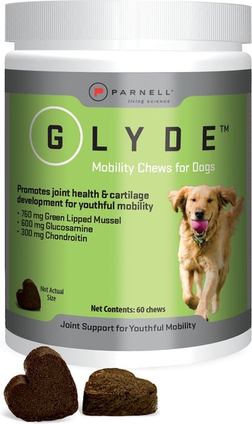 GLYDE MOBILITY CHEWS Dog Supplement, 60 count - Chewy.com