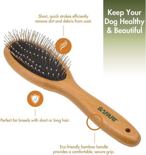 SAFARI Wire Pin Bamboo Handle Dog Brush, Small - Chewy.com