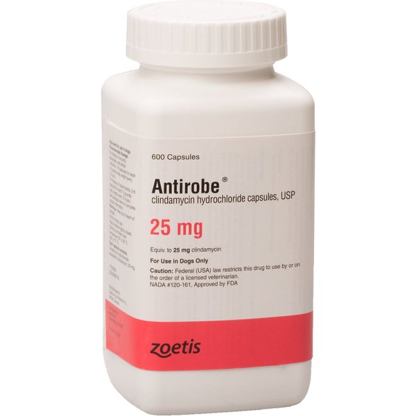 ANTIROBE (Clindamycin HCI) Capsules for Dogs, 25-mg, 1 capsule - Chewy.com