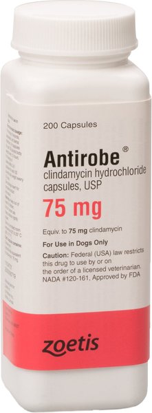 ANTIROBE (Clindamycin HCI) Capsules for Dogs, 75-mg - Easy Refills ...