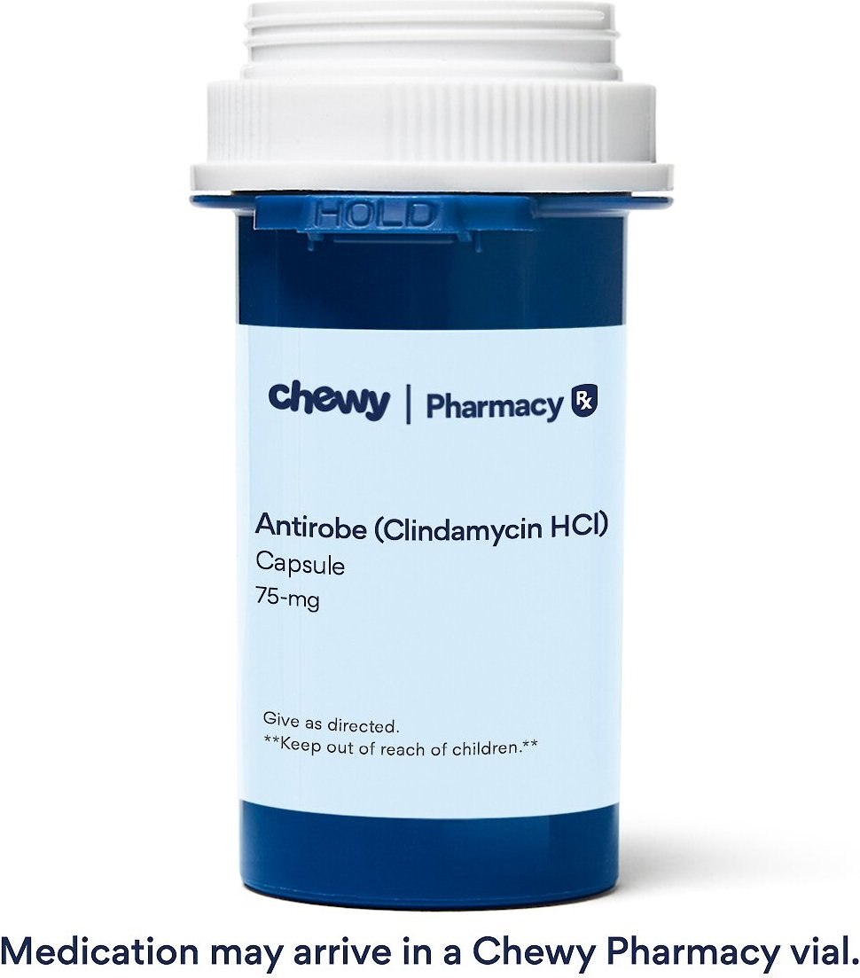 ANTIROBE (Clindamycin HCI) Capsules for Dogs, 75-mg, 1 capsule - Chewy.com
