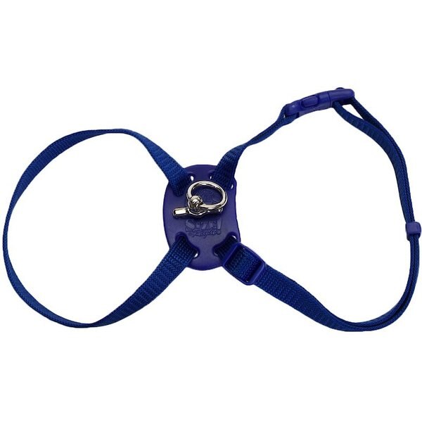 PETSAFE Come with Me Kitty Nylon Cat Harness & Bungee Leash, Lilac/Deep ...