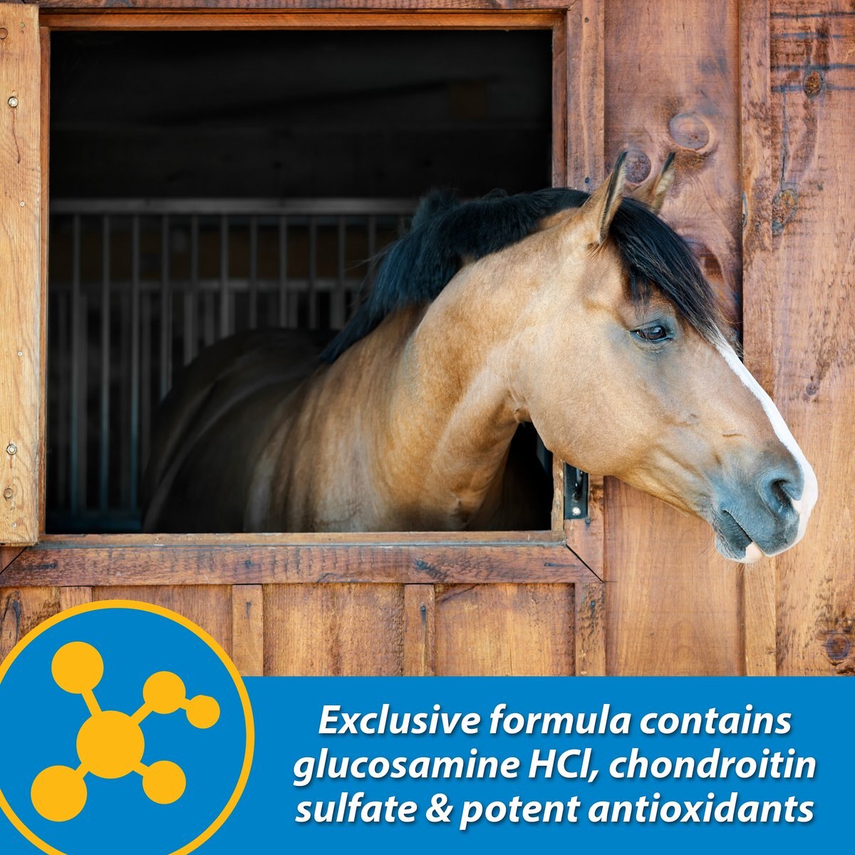 FARNAM FluidFlex Joint Solution Liquid Horse Supplement, 32-fl oz ...