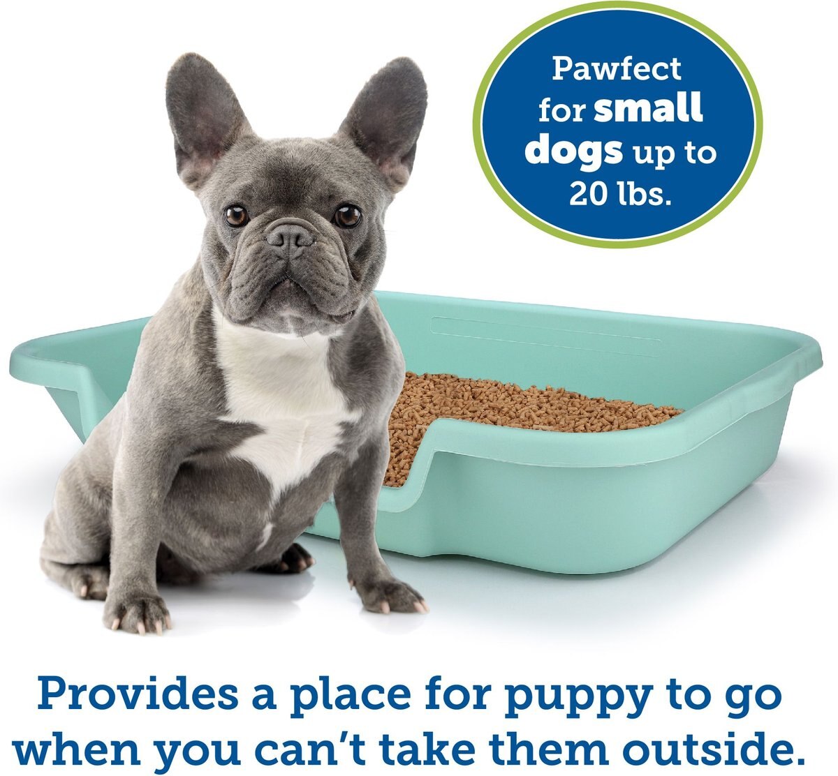 PUPPY PAN Dog, Cat & Small Animal Litter Pan, Green, Large - Chewy.com