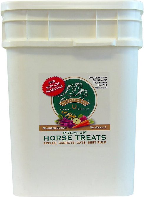 GIDDYAP GIRLS Biscuit Company Premium Apple Horse Treats, 15-lb pail ...