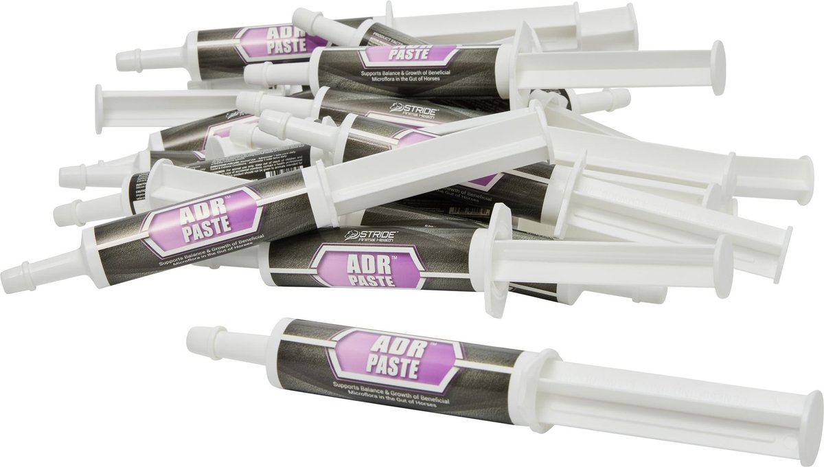 STRIDE ANIMAL HEALTH ADR Paste Syringe Digestive Horse Supplement, 20 ...