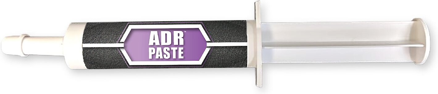 STRIDE ANIMAL HEALTH ADR Paste Syringe Digestive Horse Supplement, 20 ...