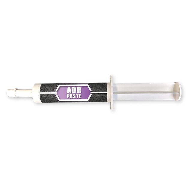 STRIDE ANIMAL HEALTH ADR Paste Syringe Digestive Horse Supplement, 20 ...